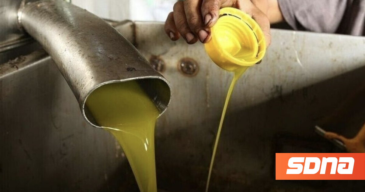 Λάδι: «Τέλος» ο τενεκές χωρίς παραστατικά - Έρχονται βαριά πρόστιμα | SDNA